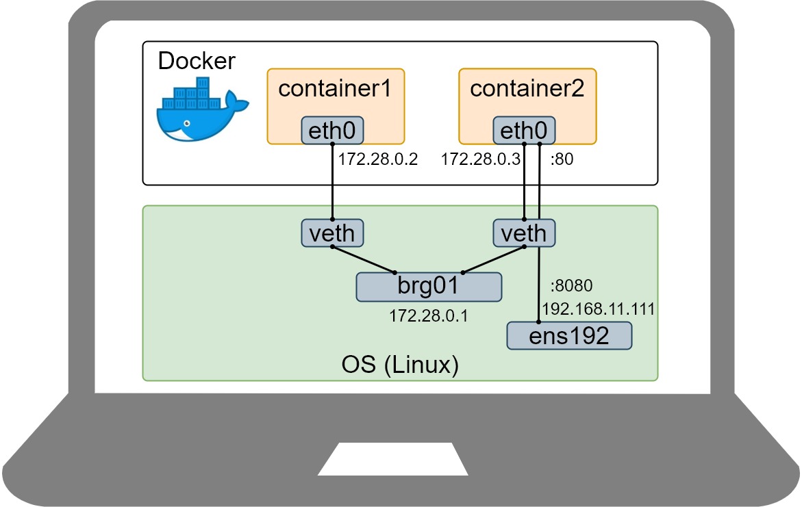 Docker ip - vastmedicine